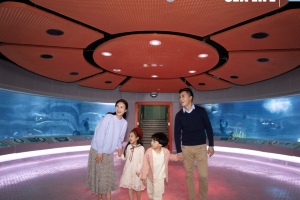 Coin-op amusements news | Octonauts attraction opens in China | InterGame